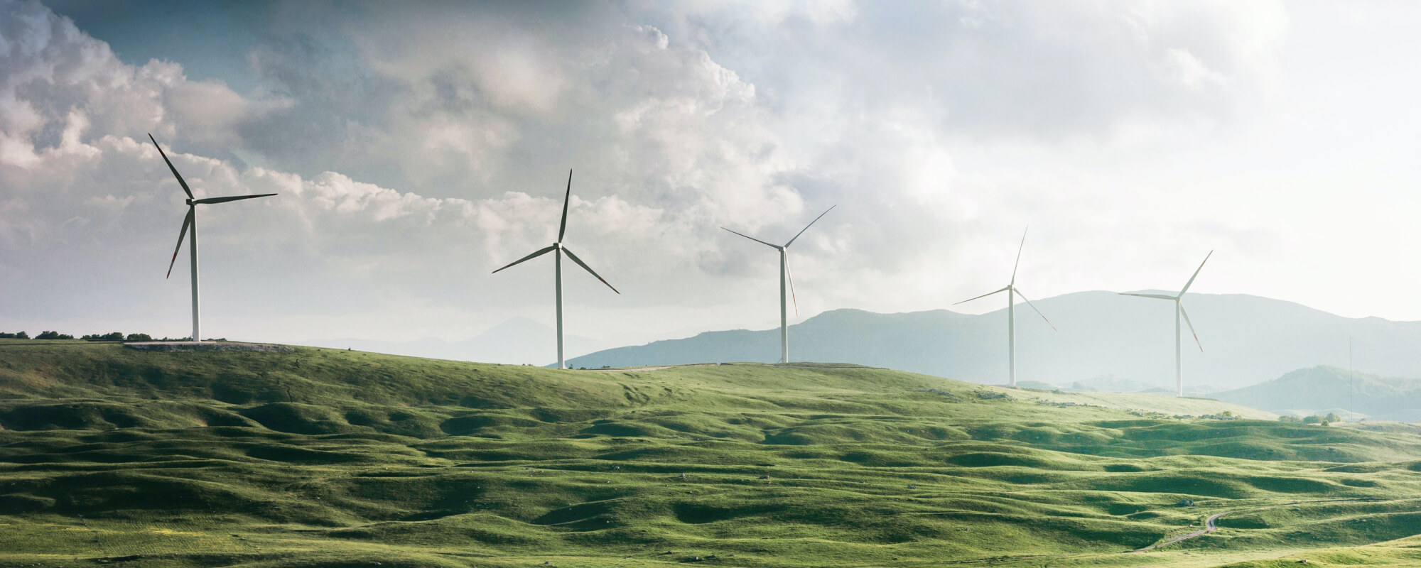 DSO Entity – Pillar of Europe’s Energy Transition