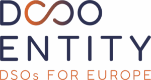 DSO Entity and ENTSO-E launch a Technopedia Platform for stakeholders ...