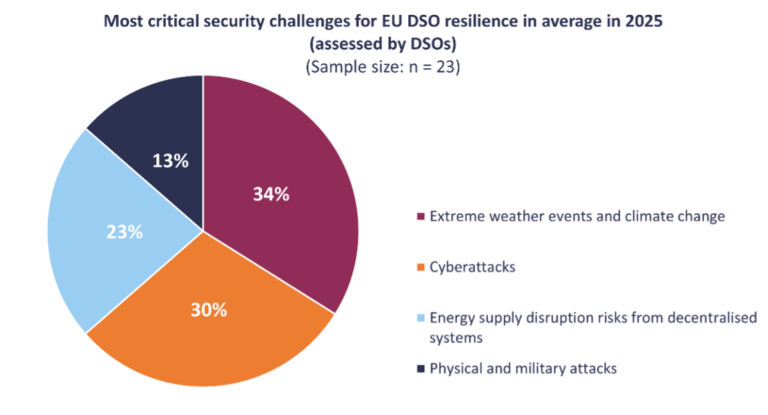 DSO Entity publishes new report on the key role of electricity ...